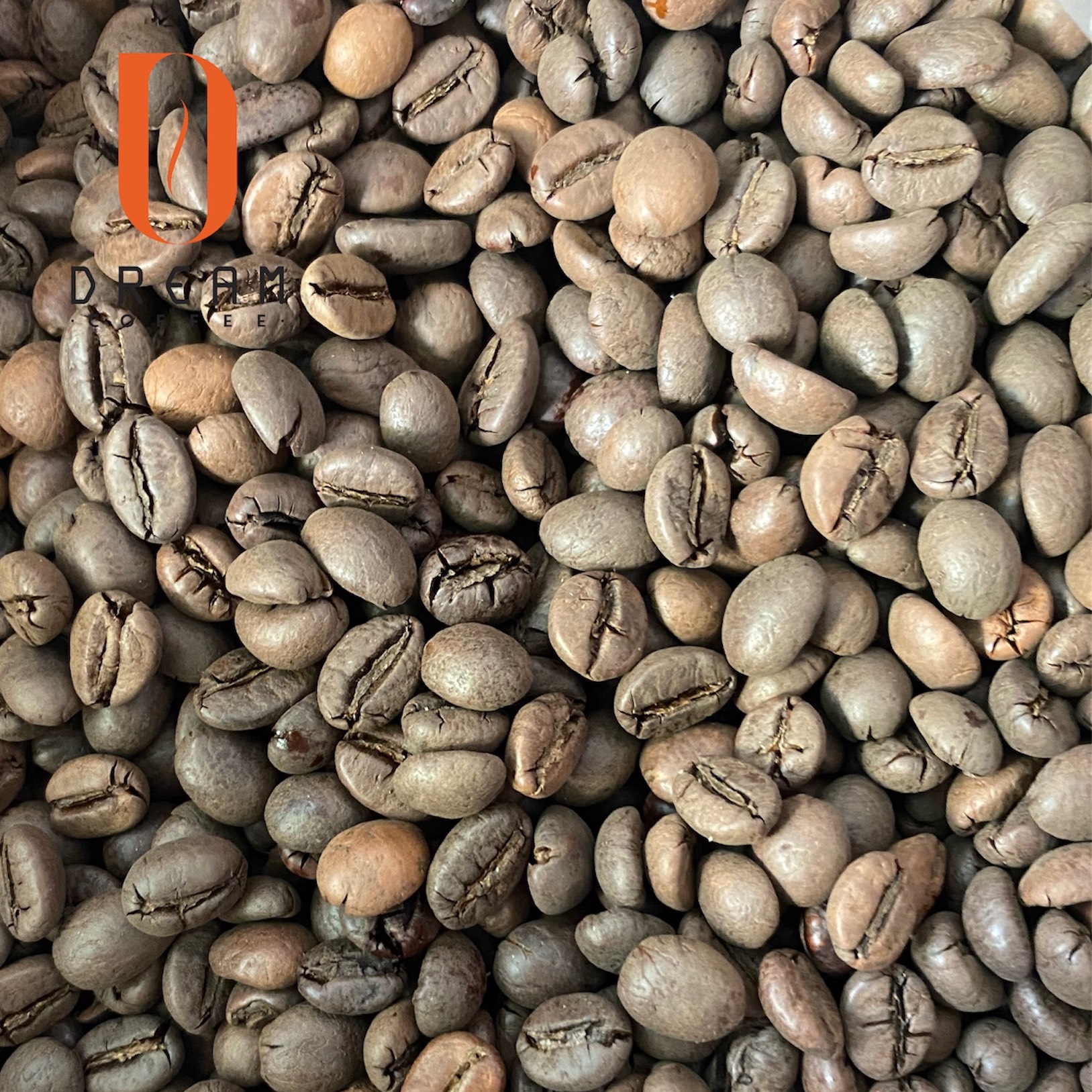 Cà phê hạt rang Robusta S18 - Dream Coffee
